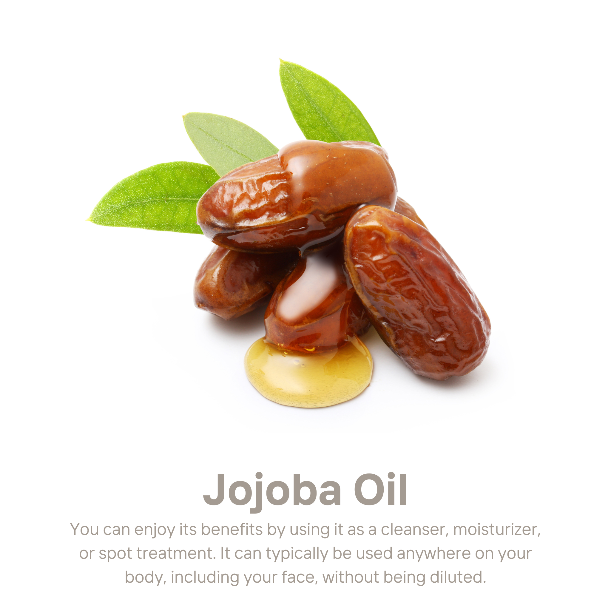 Shop The Best Organic Jojoba Oil At Nora Ross
